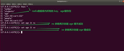 Redis数据库的数据失效时间详解【重点】resp 查看数据过期时间 Csdn博客