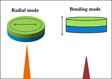 The Schematic Representation Of The Radial Mode And Bending Modes