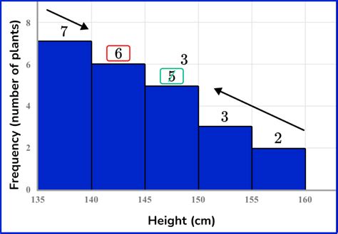 Histogram Math Steps Examples And Questions