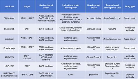 B细胞活化因子baff
