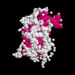 Diferencia Entre T3 Y T4 Hormonas Tiroideas Funciones Y Efectos