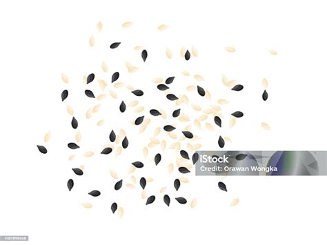 검은 색과 흰색 참깨가 바닥에 튀는 모습 평평한 벡터 그림 깨에 대한 스톡 벡터 아트 및 기타 이미지 깨 참깨 씨앗