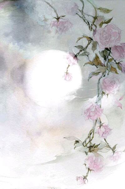 度娘 高清图片，堆糖，美图壁纸兴趣社区