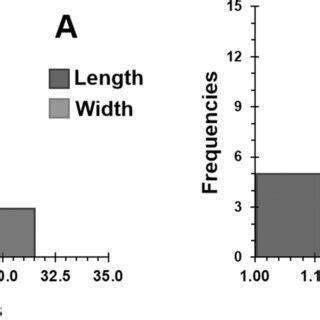 Histograms Of Length And Width A And Length Width Ratio B Of Download Scientific Diagram