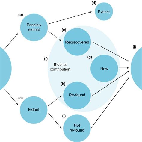 Conceptual Framework Of The Contribution Of Citizen Science Events To