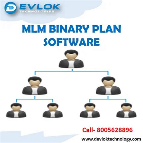 Devlok Technologies 5 7 Days Binary Mlm Software For Windows Free Demotrial Available At Rs