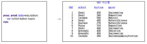 기초부터 배우는 Sas Programing 2print Procedure Part1 Sas Support
