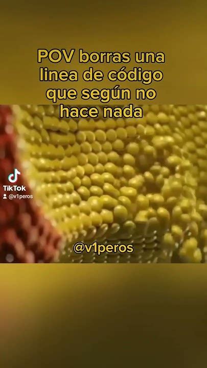 Nomás Quedé 🤡 Ingenieria Developer Development Desarrollodesoftware Youtube