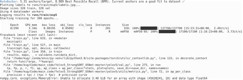 Numpy Core Exceptions MemoryError Issue Ultralytics Yolov GitHub