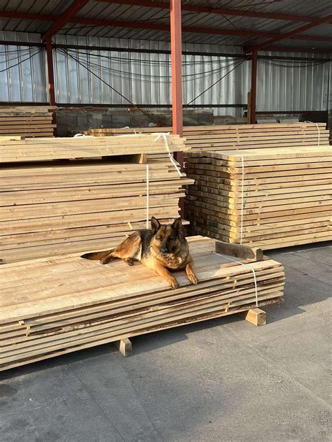 Магазин за спортни стоки РЕАЛ Знаете ли че Европейците въртят педалите на български