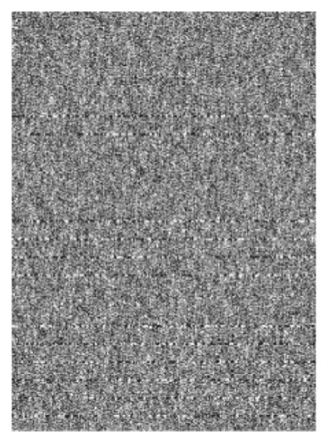 the encrypted images with adding 4 salt and pepper noise download