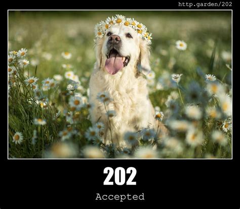 202 Accepted Status Code And Gardening