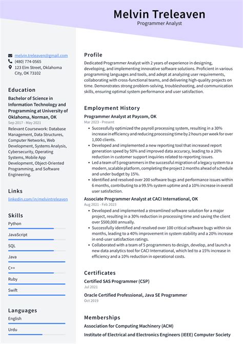 Top 18 Programmer Analyst Resume Objective Examples