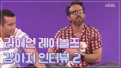 [한글자막] 데드풀 라이언 레이놀즈 And 롭 맥엘헨리의 강아지 인터뷰 2 3 🐶 Feat 웰컴 투 렉섬 ⚽️ Youtube