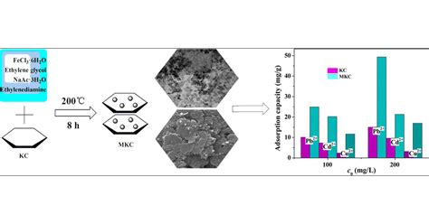 Enhanced Removal Of Pb2 Cu2 And Cd2 By Amino Functionalized