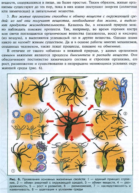Биология Пасечник Учебник §2 - Частная школа. 10 класс