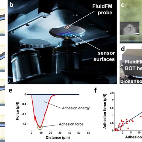 Principle And Results Of The Robotic Fluidic Force Microscopy Fluidfm