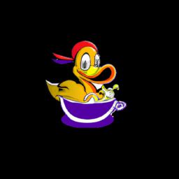 Download And Install FYS App Ducky Soup Download And Install FYS App Ducky Soup