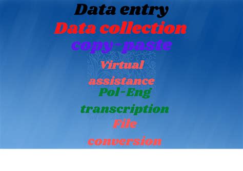 do data entry copy paste web research data mining file conversion by