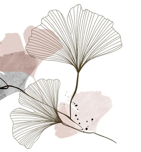 Eecp 體外反搏治療 璽邁兒診所