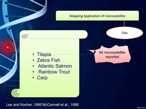 Mapping Microsatellite Based Method Pptx Genetics Science