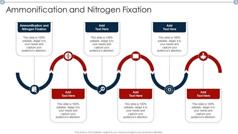 Ammonification And Nitrogen Fixation In Ppt Powerpoint Presentation Slide Templates Cpp PPT
