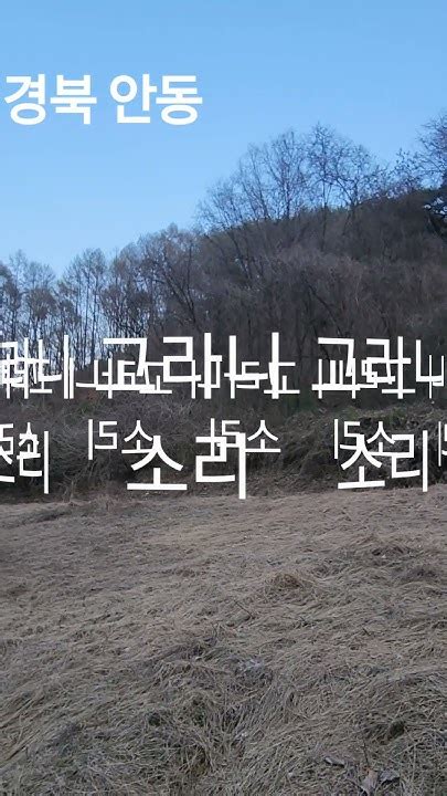 깊은 산골짜기 자연의 소리를 들어 보세요 Youtube