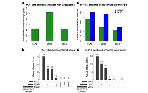 Comparison Of The Snps Located Within The Enhancer Regions And Their