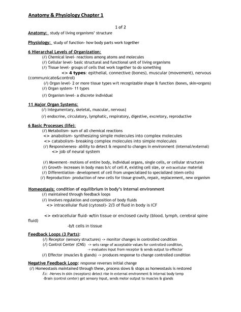 Aandp Chapter 1 Lecture Notes 1 Anatomy And Physiology Chapter 1 1 Of 2