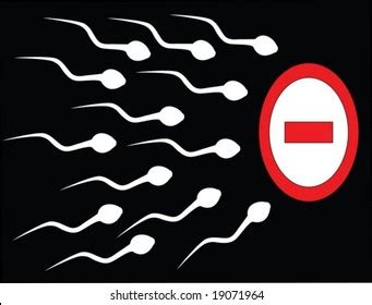 Sexual Intercourse Anatomy Images Stock Photos Vectors Shutterstock