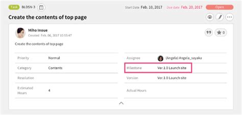 Working With Issues Users Guide Backlog Enterprise Help Guide