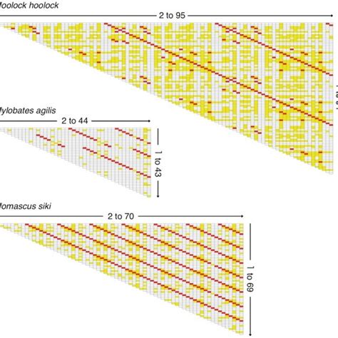Pairwise Comparisons Of Basic Repeat Unit Sequences The Comparisons
