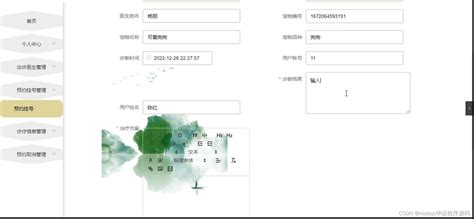 Pythonflask计算机毕业设计宠物医院排号系统的设计与实现（程序开题论文） Csdn博客