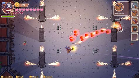 Miss Neko Pirates For Androidios Taptap