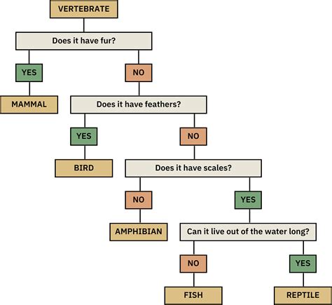 classification chapter notes igcse cambridge science for year 6