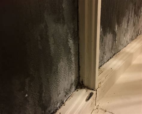 Window Rot And How To Spot It Door Store And Windows