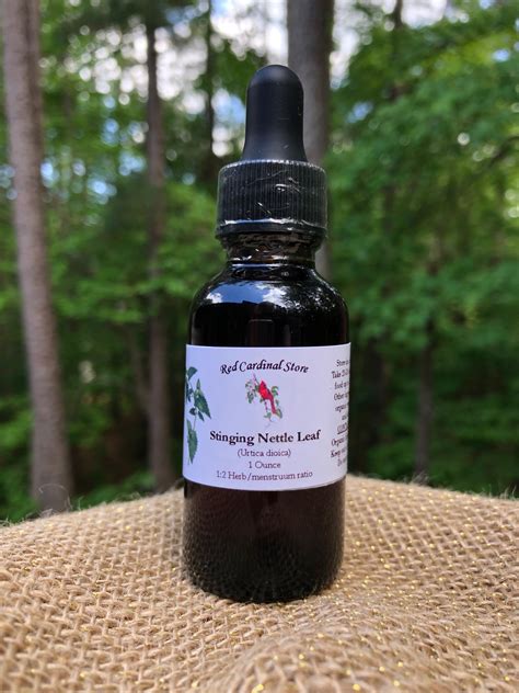 Stinging Nettle Leaf Tincture Herb Extract Double Extraction Red