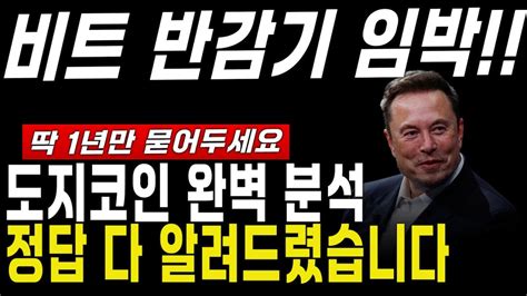 도지코인 전망 비트코인 반감기 임박 빅 이벤트 조만간 시작됩니다 도지코인 현재 가격대비 최소 4배상승 최대 15배까지