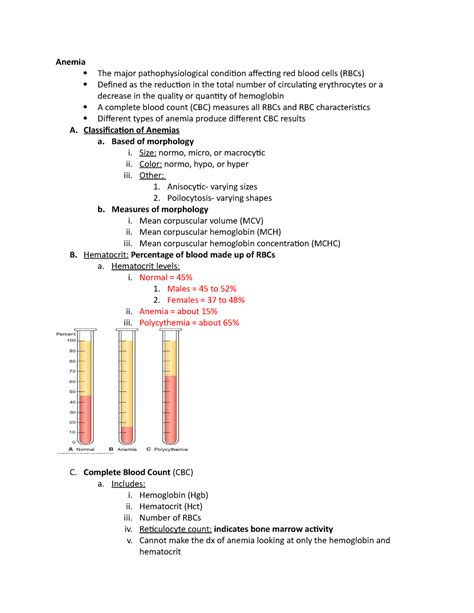 Anemia Study Guide Absn Program Anemia The Major Pathophysiological