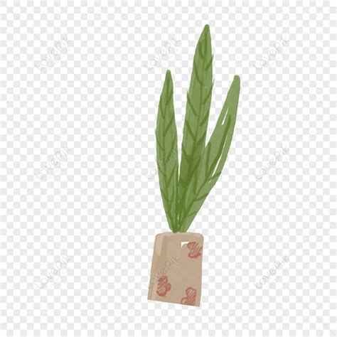 화분에 심은 꽃 Png 일러스트 무료 다운로드 Lovepik