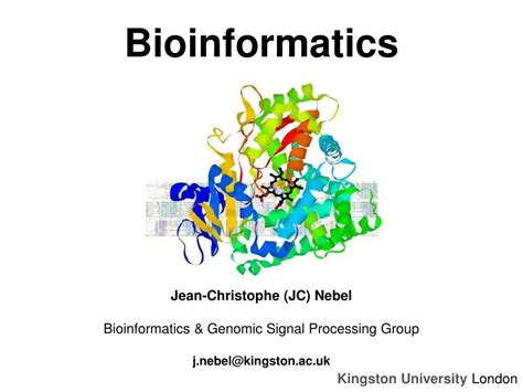 Ppt Bioinformatics Powerpoint Presentation Free Download Id5688452
