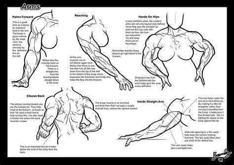 Tutorial Arms 3 By Bambs79 On DeviantArt