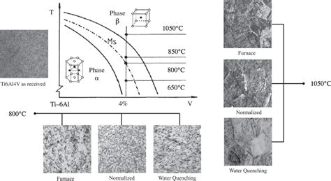 Ti6al4v Alloy Phase Diagram 27 28 39 40 Download Scientific Diagram