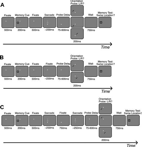 Tasks And Conditions Experiment 1 Download Scientific Diagram