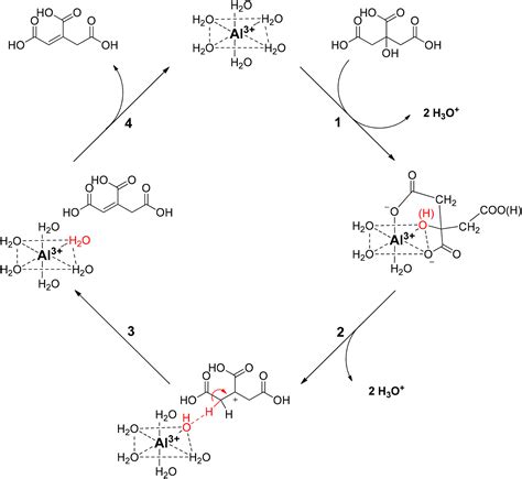 Efficient Two Step Production Of Biobased Plasticizers Dehydration Hydrogenation Of Citric Acid