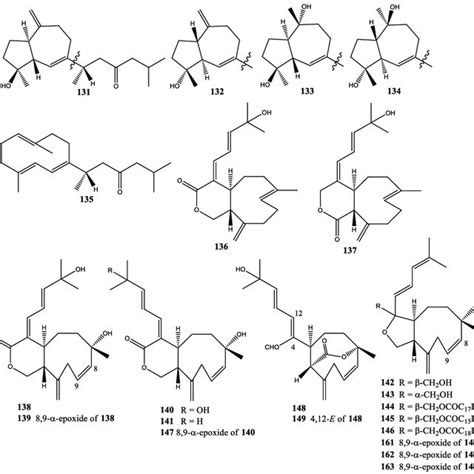 Different Pathway Biosynthesis Of Terpenes Download Scientific Diagram