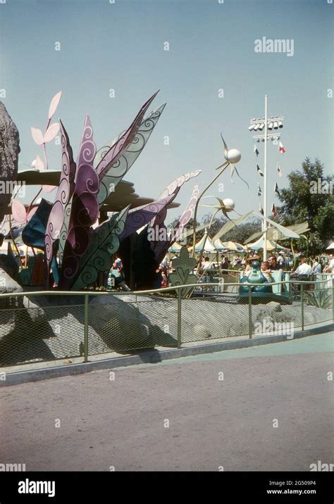 Disneyland California 1959 A View Of The Alice In Wonderland Ride In