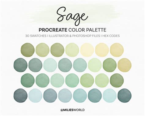 Sage Procreate Color Palette Color Swatches Ipad Etsy Australia