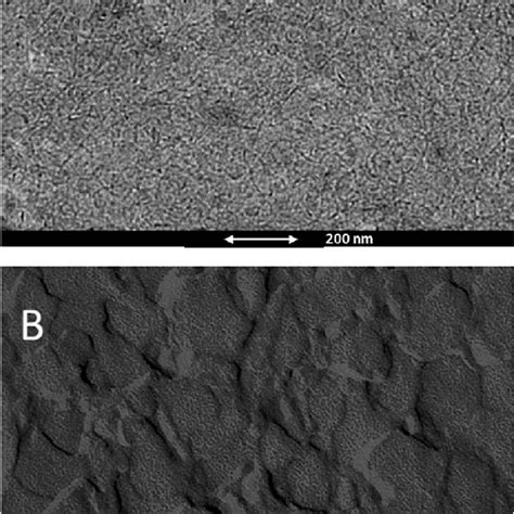 A Cryo Tem Image Of Sample 1 And B Ff Tem Image Of Sample 1 Sample