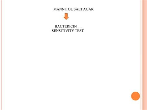 Isolation And Identification Of Staphylococcus Auerus Pptx